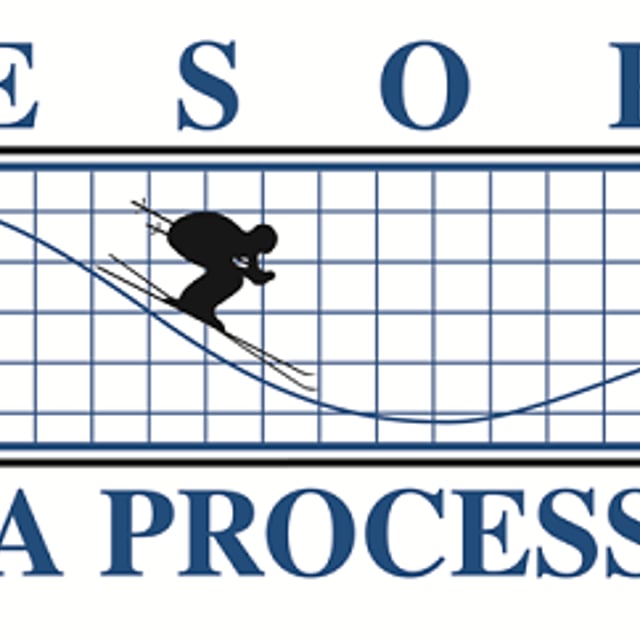 Resort Data Processing, Inc. - Director