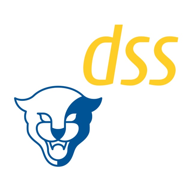 DSS Group