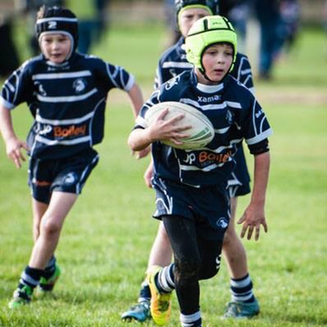 Terry Mullaney - Videographer