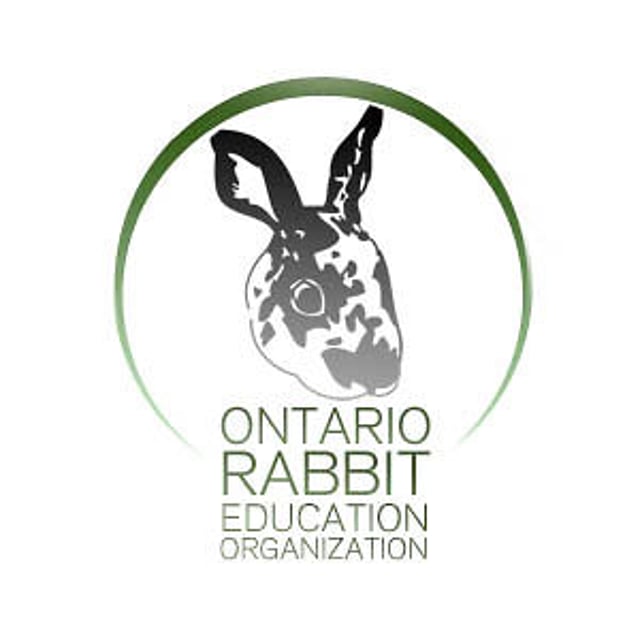 Ontario Rabbits
