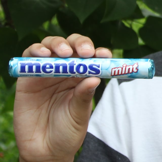 Mentos For Life
