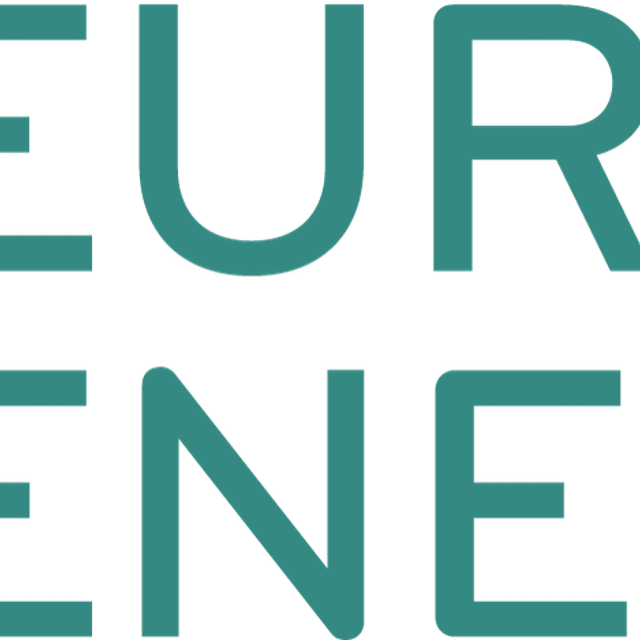 European Energy
