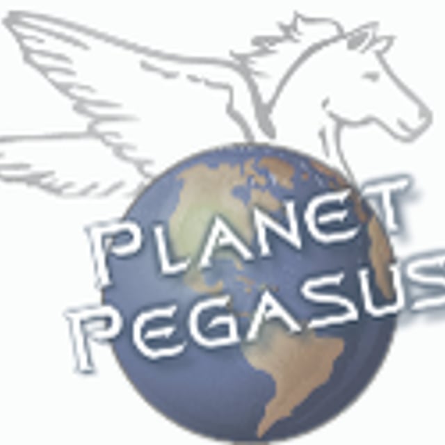 Project Pegasus Inc