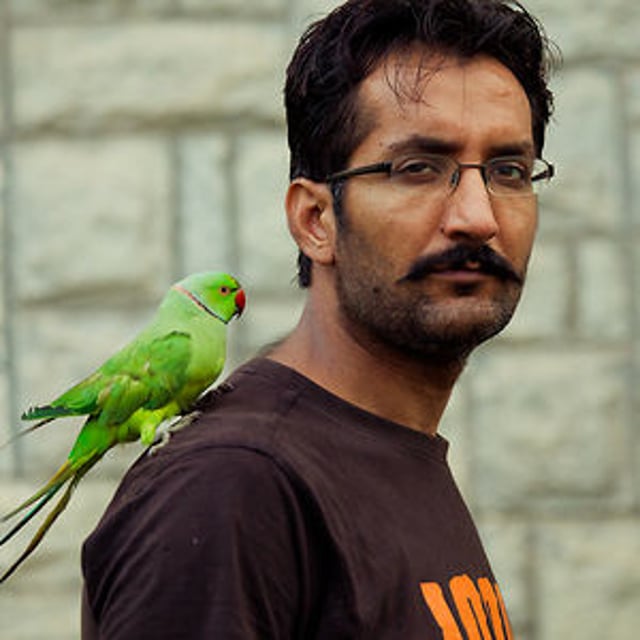 Kamran Ali