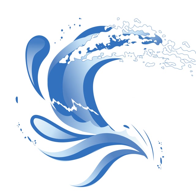 THE WAVE International