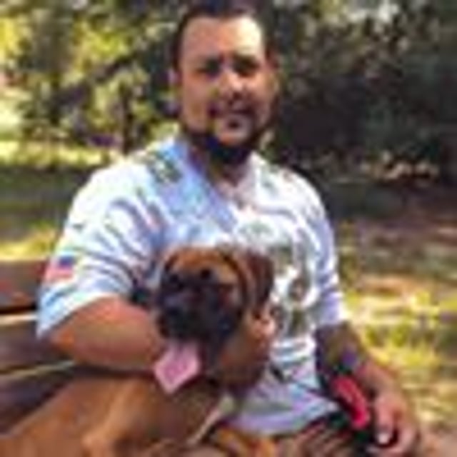 Emerald Wolf Studios