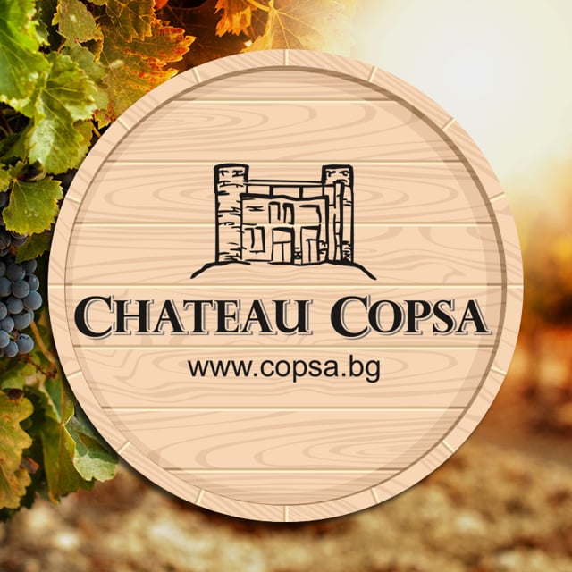 Chateau Copsa
