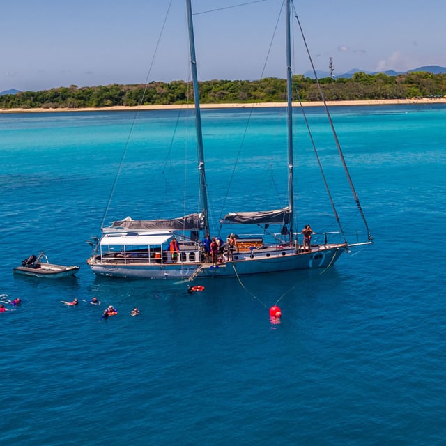 Ocean Free & Ocean Freedom GBR