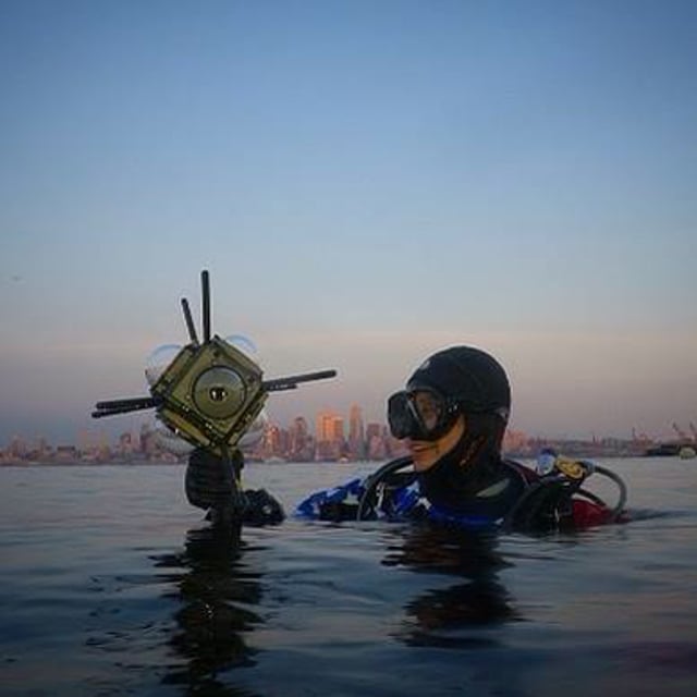 Beneath the Looking Glass, LLC