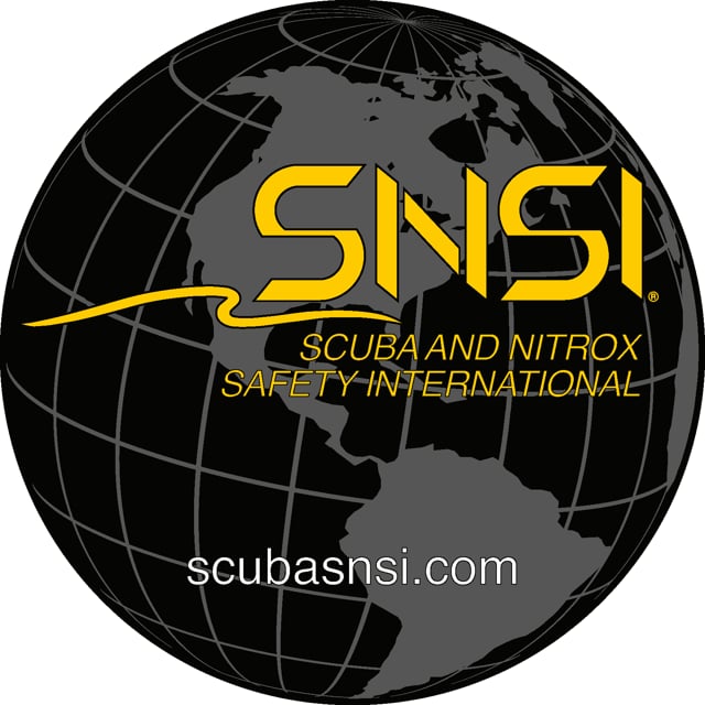 SNSI