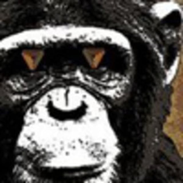 The Infinite Monkey Theorem