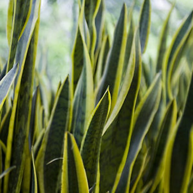 Santa Rosa Bureau Cultural