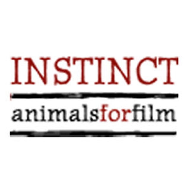 Instinct Animals For Film