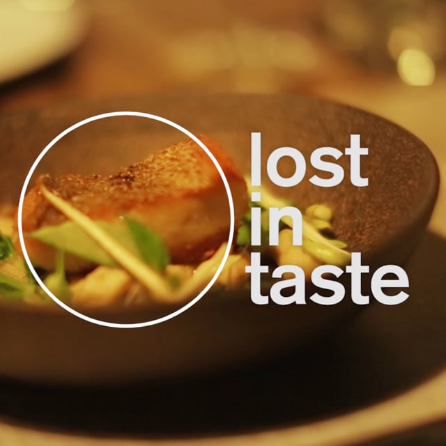 lost in taste
