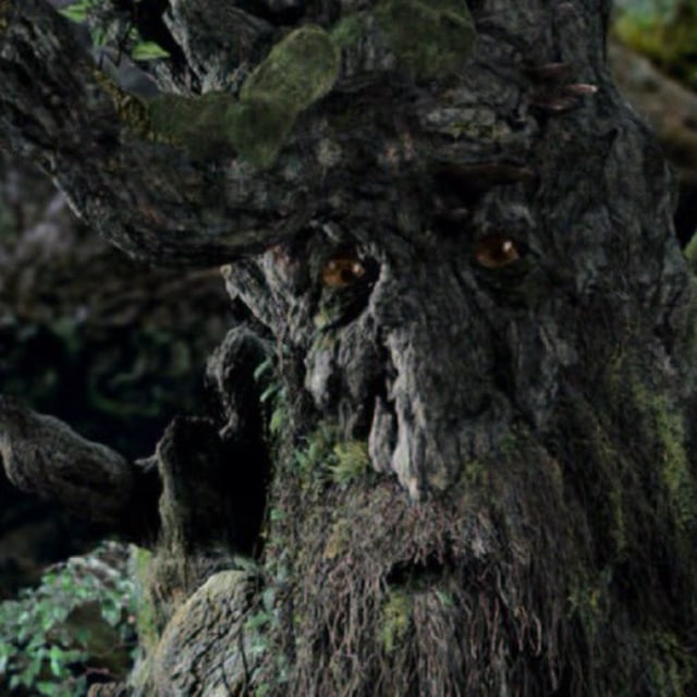 Treebeard