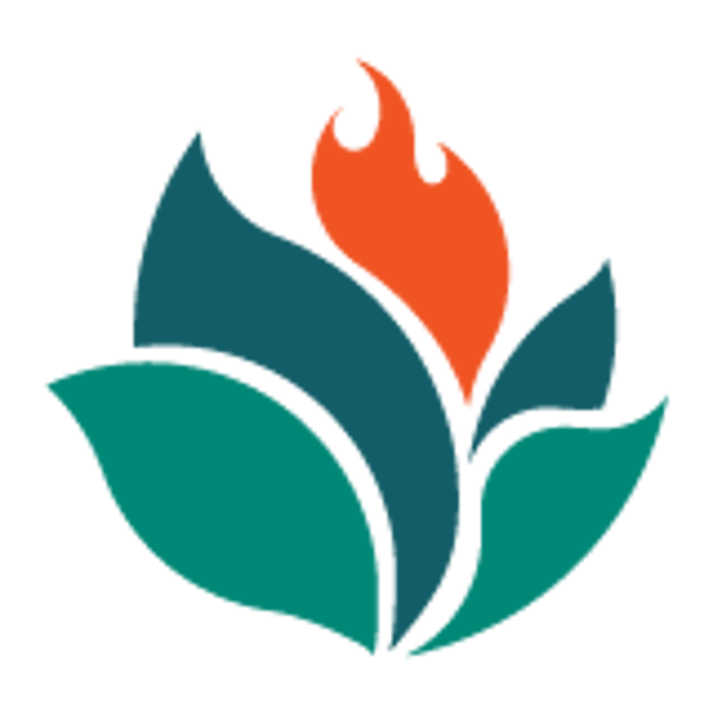 Lotus School Foundation