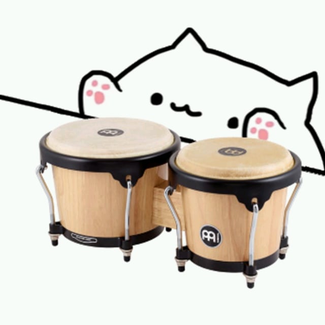 Bongo Cat Music