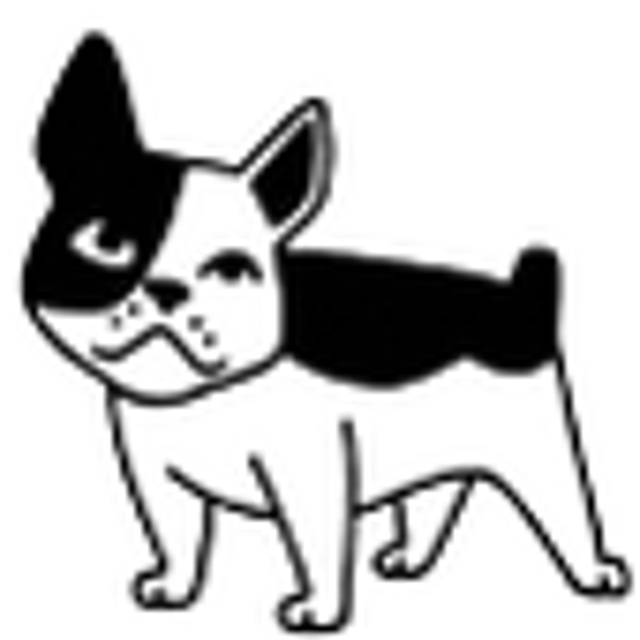 ScreenDog Productions