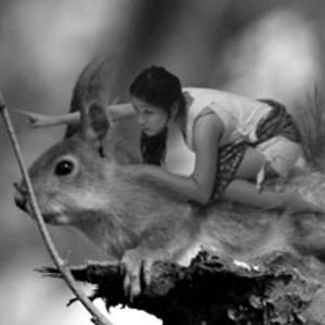 Stephanie Fong