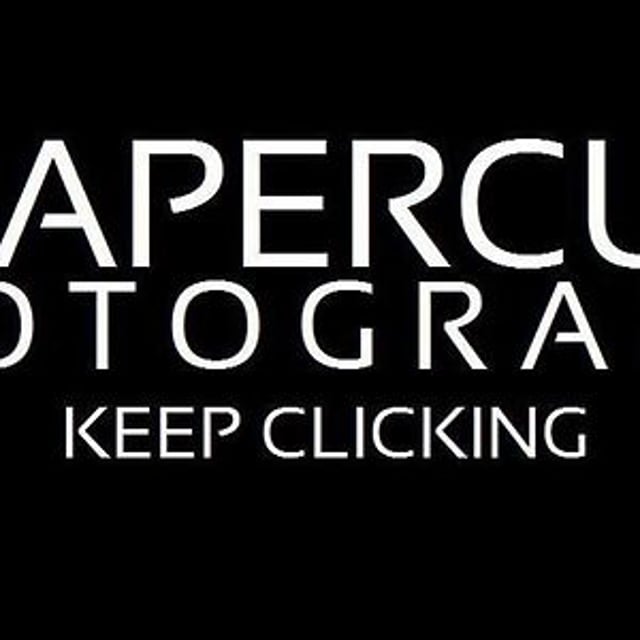 papercut photography