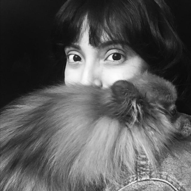 Alexandra Contreras - Director, Animator & Video Editor