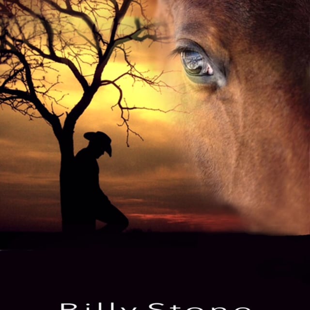 Billy Stone, The Movie