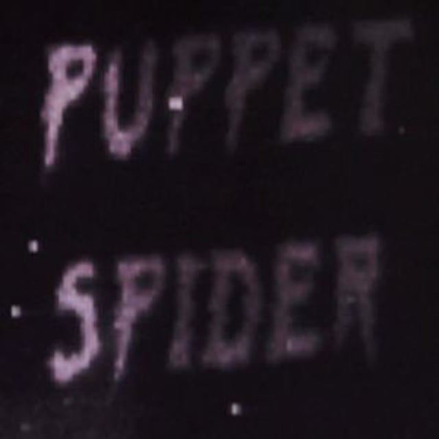 Puppet Spider