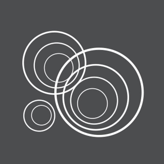 The Licursi Group
