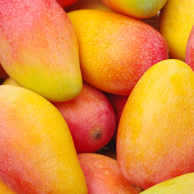 Mango Mango