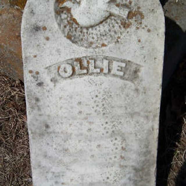 Ollie Bell