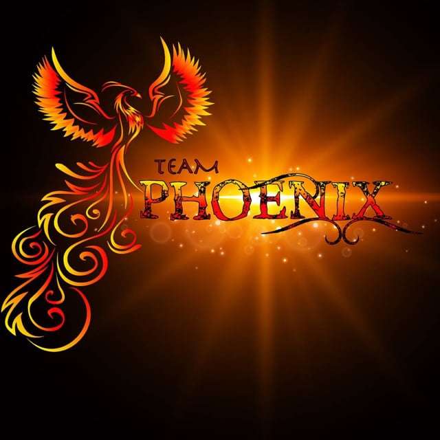 Team Phoenix