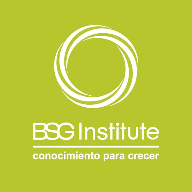 BSG Institute