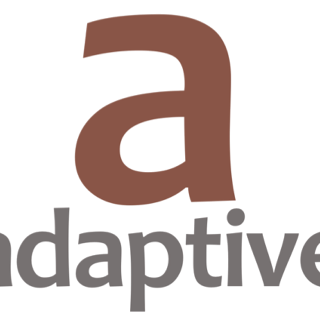 Adaptive Branding