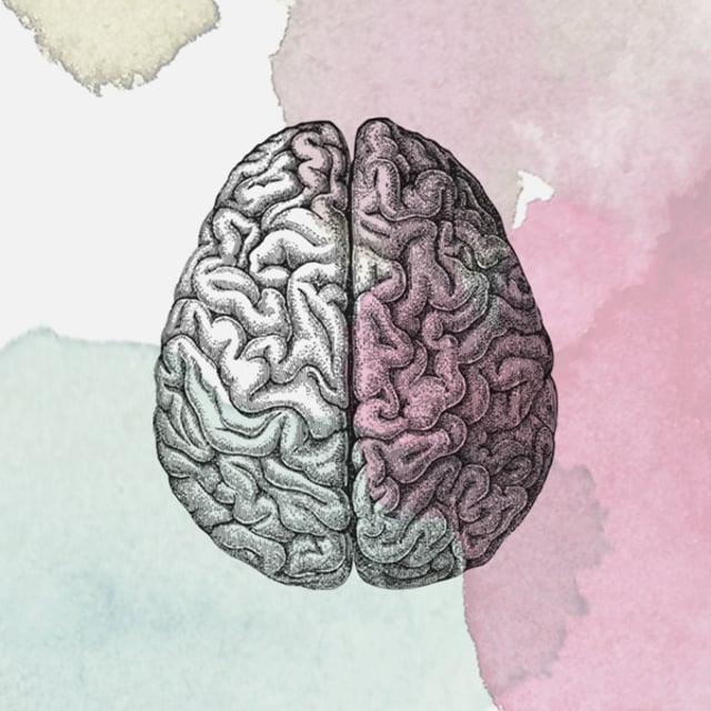 Mindset Matters - Creative Director & Animator