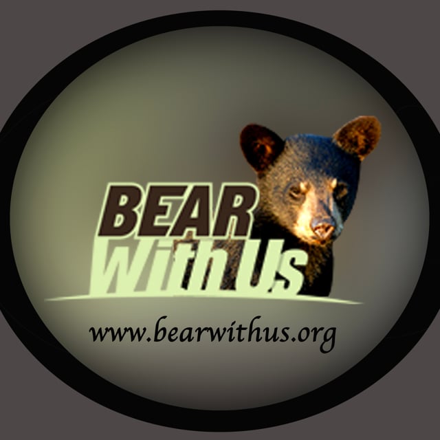 Bear With Us for Bears-Vimeo