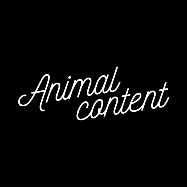 Animal Content
