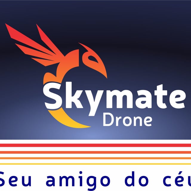 skymate drone