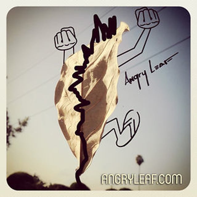 Angry Leaf