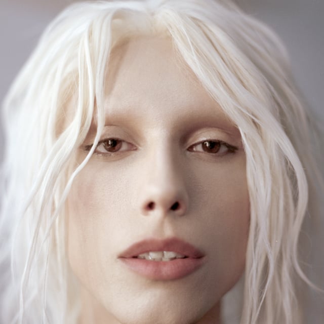 Roger Spy - Director, Producer & Editor