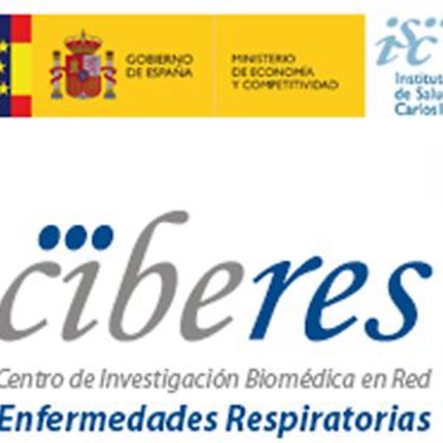 Ciberes