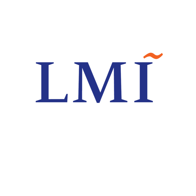 LMI Consulting, LLC
