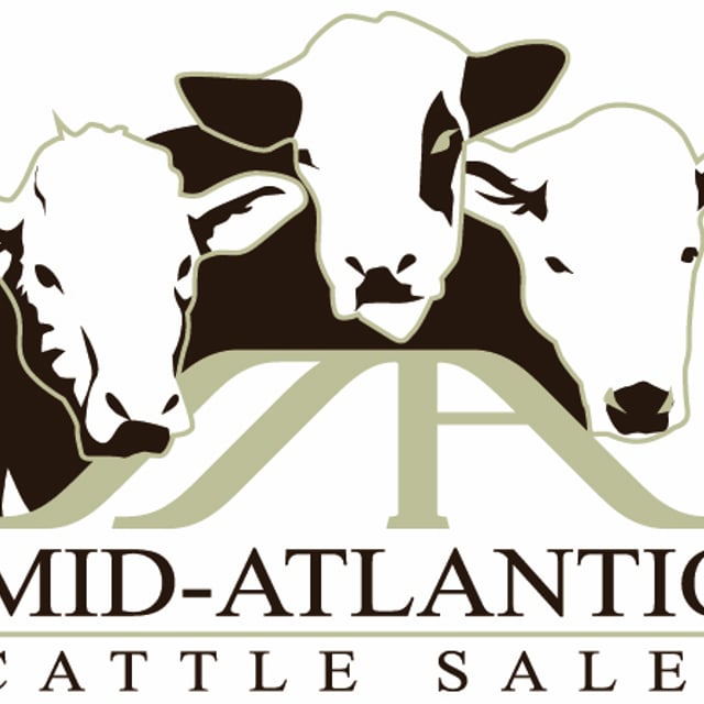 Mid-Atlantic Cattle Sales