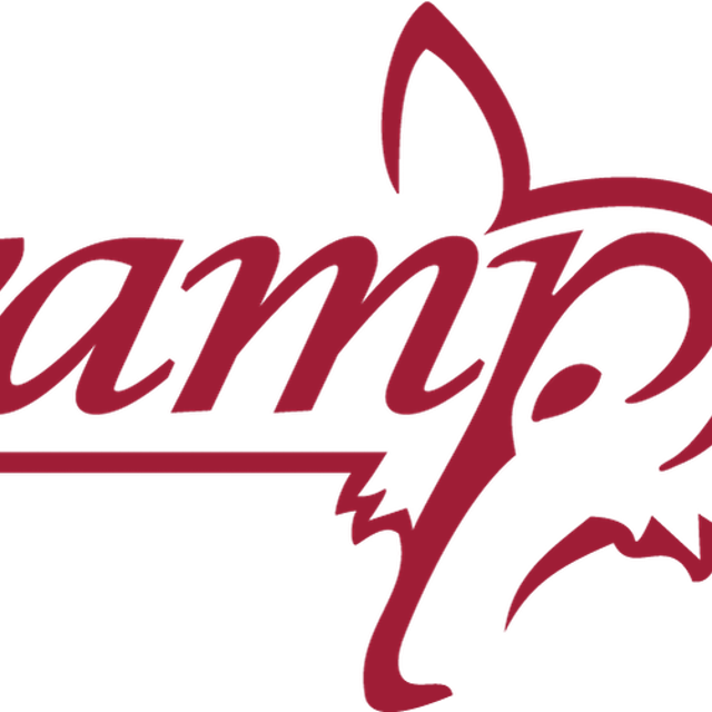 Swampfox Technologies