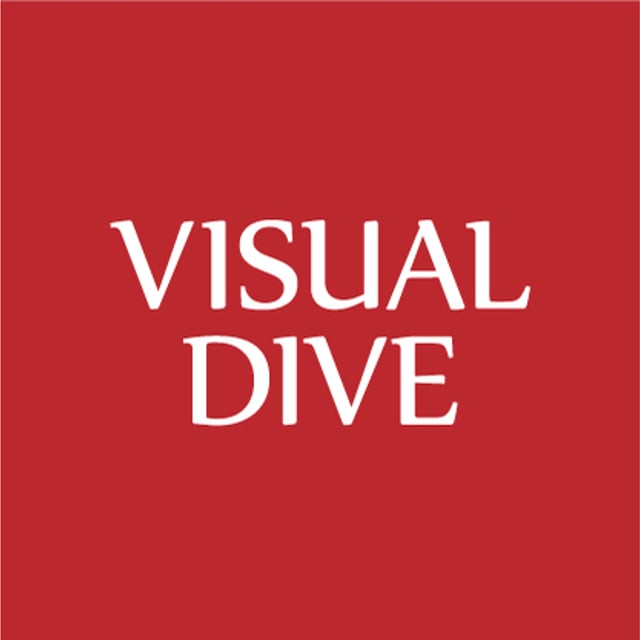 Visual Dive