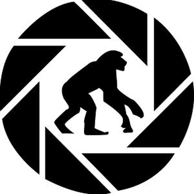 Content Monkeys