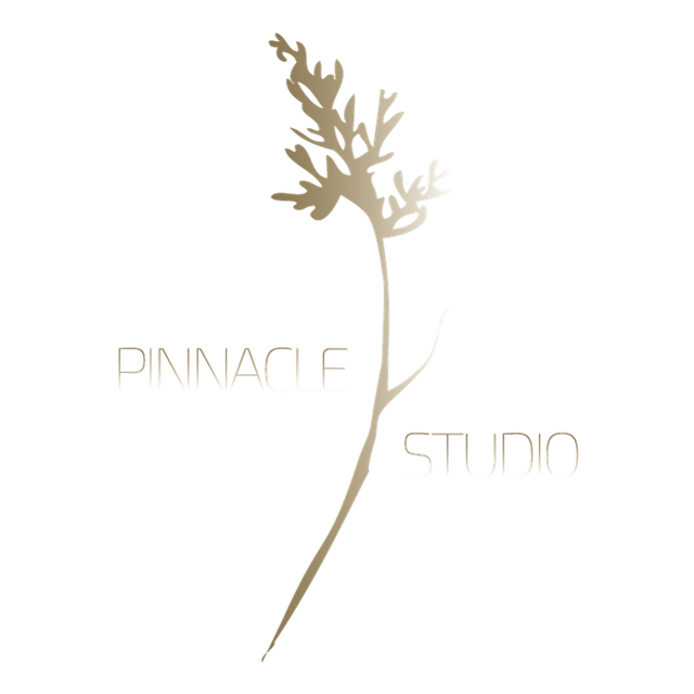 Pinnacle Studio Films - Film Director
