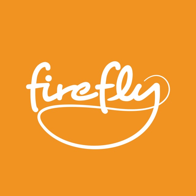 Firefly by Leckey