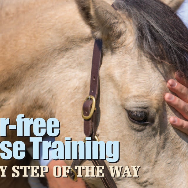 Fear-free Horse Training