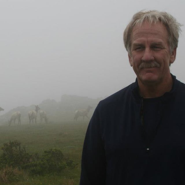 Professor David Hurst