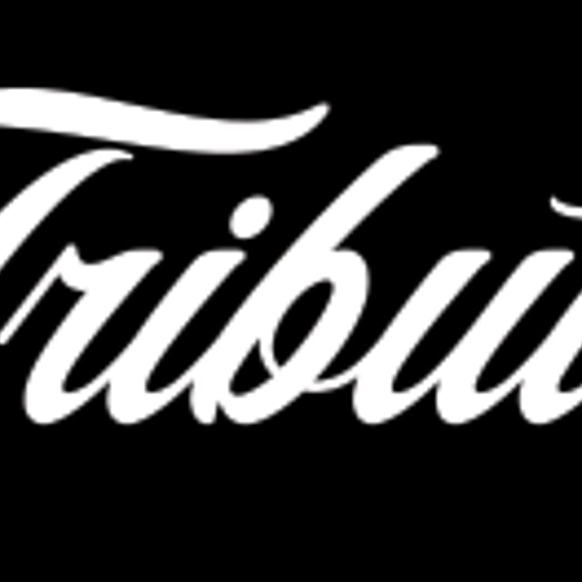 TRIBUTE STUDIO